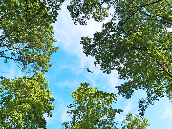 Forget riverboat cruises &ndash; this is how you see the Mississippi! Soar like an eagle (with a slight case of the jitters).
