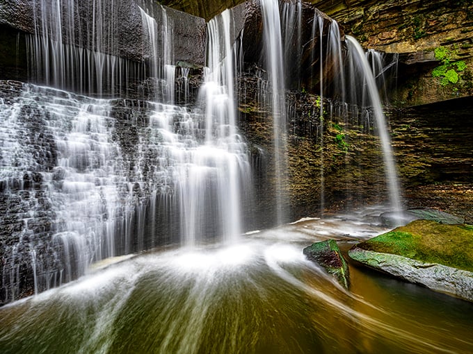 Urban wilderness at its finest. Where city meets serenity, and you can pretend you're in a far-flung forest... until you hear a car horn.