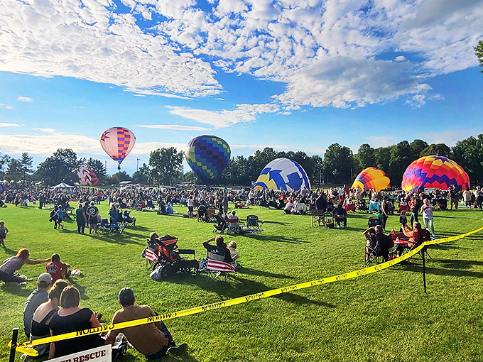 Bun appetit! Where patty meets paradise in a sizzling celebration of America's favorite sandwich.