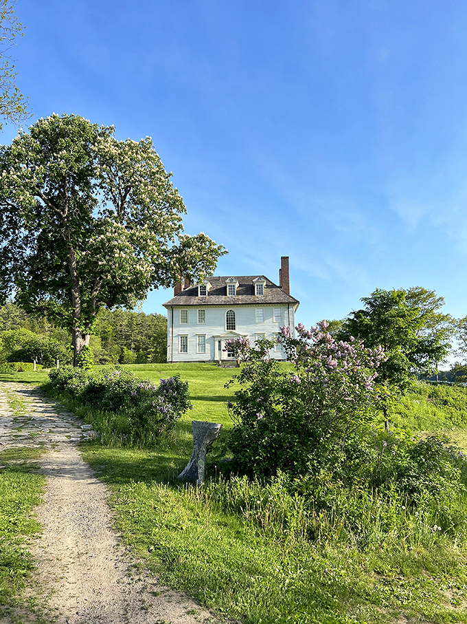 Hamilton House: Where Georgian elegance meets riverside charm. It's like Downton Abbey, but with a better view.