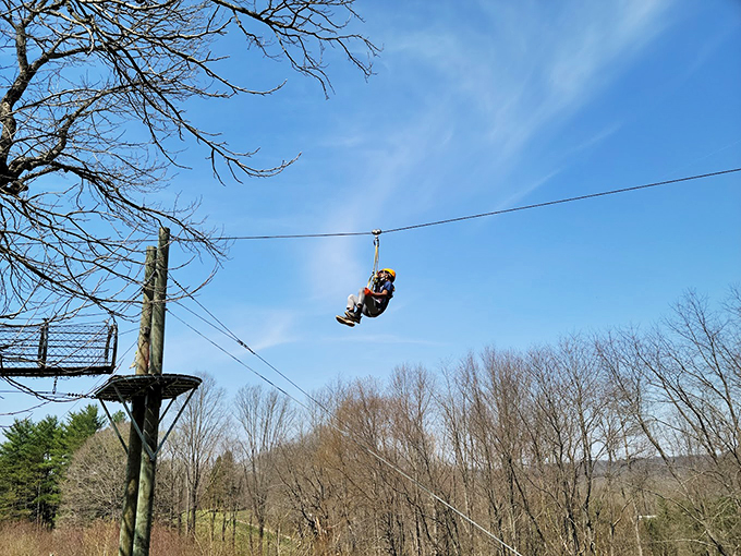 Treetop trekking with a twist! Who knew playing Tarzan could be so addictive?