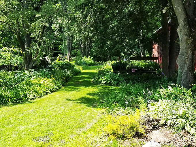 McLaughlin Garden: Where flowers throw a wilder party than Woodstock. No mud slides, but plenty of petal-powered psychedelia!