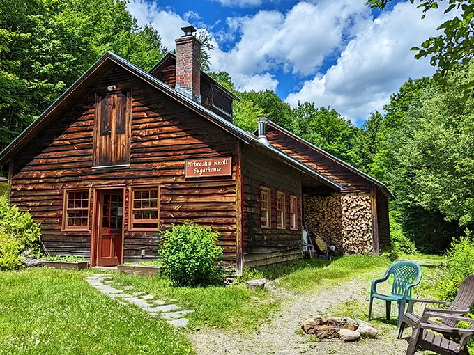 Nebraska Knoll: Where maple trees whisper sweet nothings and every drop of syrup tells a story.