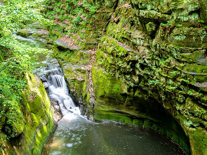 Nature's own infinity pool! Emerald waters nestled in a narrow gorge create a hidden oasis straight out of a fantasy novel.