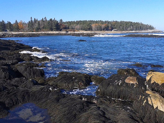 Reid State Park's rocky coast: Where the Atlantic puts on a daily show. Front row seats are always available!