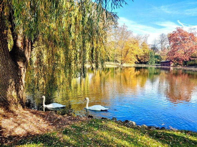 Bonsai dreams and sculpture schemes! This garden sampler platter serves up global inspiration.