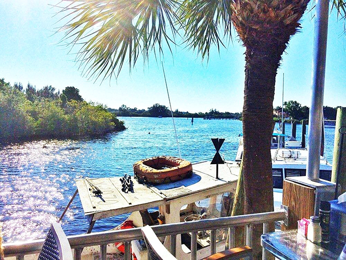 Crystal-clear spring waters invite swimmers to dive into their depths, where ancient cypress trees stand guard like wise sentinels.