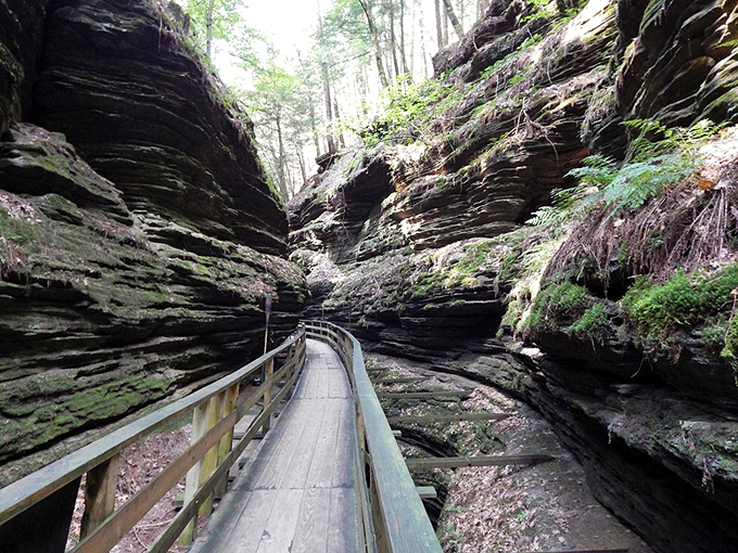 Narrow passage, wide appeal! This slot canyon proves that Wisconsin can give the Southwest a run for its money.