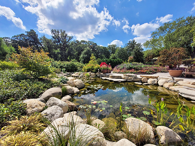 Rock stars of the garden world: Cantigny's pond scene is more zen than a yoga retreat.