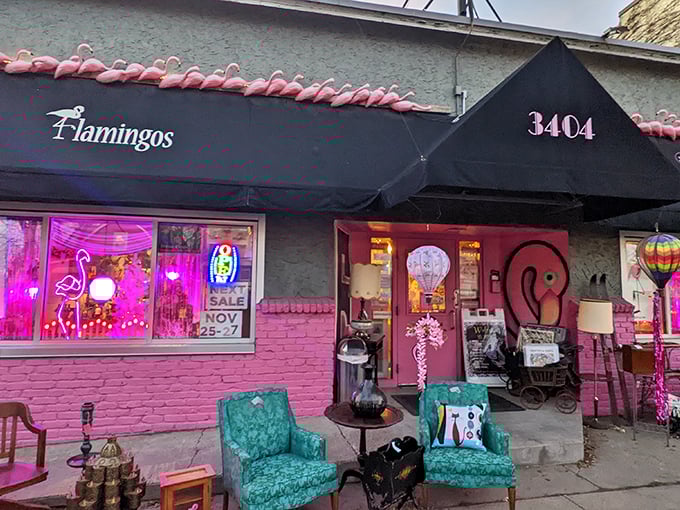 Forget the fountain of youth – Flamingo's is the boutique of eternal style! Retro charm meets contemporary cool.
