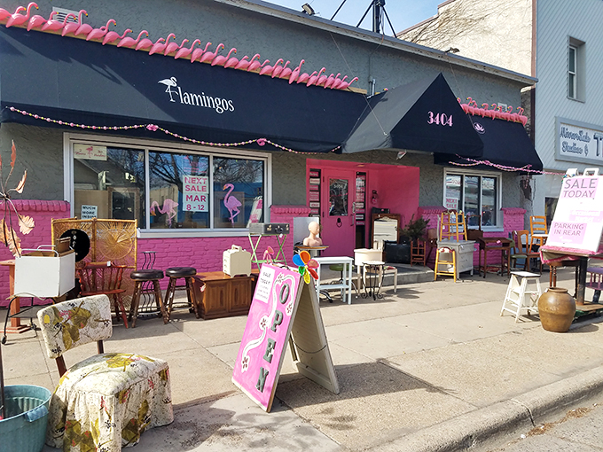 Flamingos and funky finds! Step into a world where kitsch is king and every day is a throwback Thursday. Photo credit: Jennifer DeJonghe