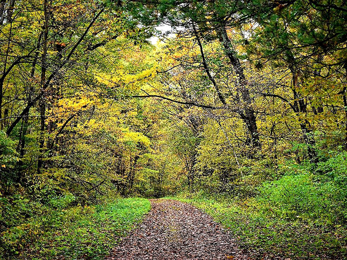 Nature's IMAX screen! Brady's Bluff presents a panoramic view that's better than any 3D movie &ndash; and no glasses required.