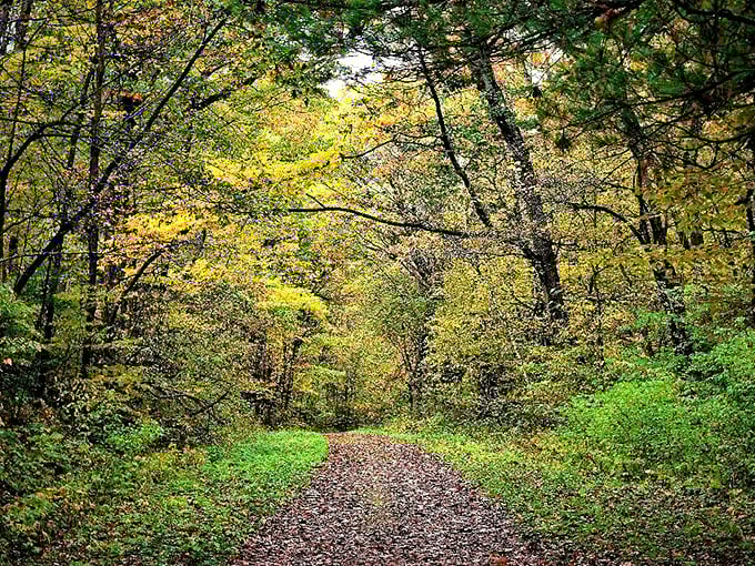 Nature's IMAX screen! Brady's Bluff presents a panoramic view that's better than any 3D movie &ndash; and no glasses required.