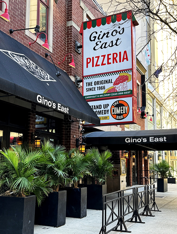 Step into Gino's East and join the wall-signing club. It's like Facebook for pizza lovers, but with better taste.