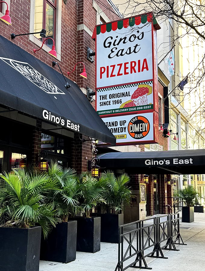 Step into Gino's East and join the wall-signing club. It's like Facebook for pizza lovers, but with better taste.