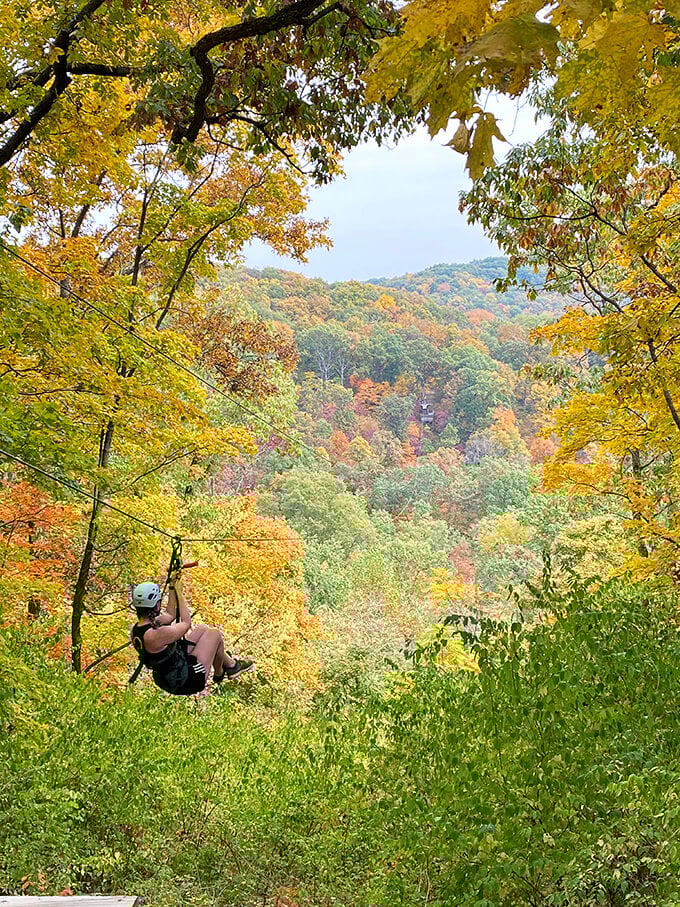Mark Twain never saw the river like this! Zip over bluffs for a bird's-eye view that'll make your Facebook friends green with envy.