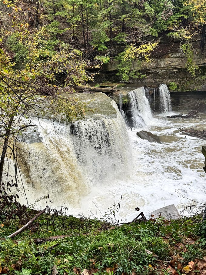 Proof that you don't need to go far to get far away. A slice of wilderness pie, served up with a side of urban convenience.