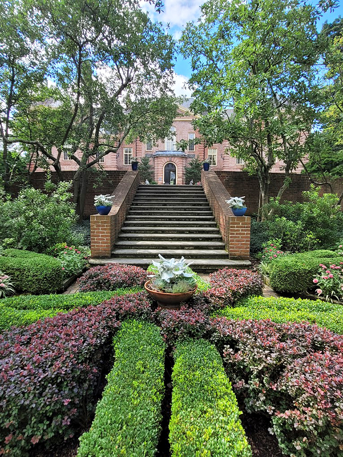 Peacocks and petunias in perfect harmony. It's like stepping into a living postcard where even the birds dress for the occasion.