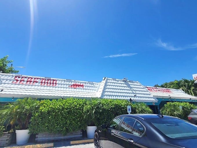 Red, white, and seafood! Lazy Lobster is waving the flag for fantastic flavors in the Florida Keys.