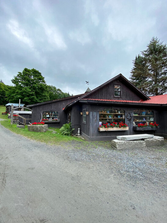 9 Under-The-Radar Animal Encounters In Vermont That Will Melt Your Heart