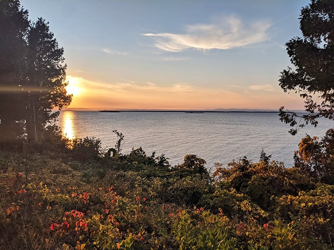 Nature's sunset theater unfolds nightly, with wildflowers in the front row and Lake Michigan stealing the show.