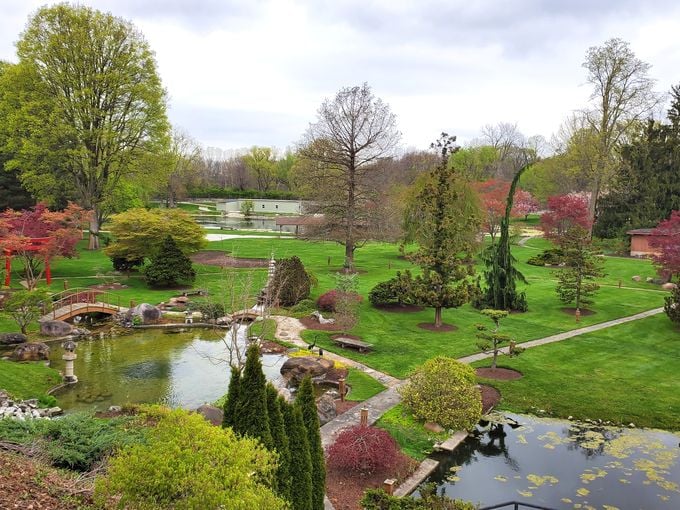 Explore the serene paths and lush landscapes at Schedel Arboretum & Gardens for a peaceful escape into nature's vibrant beauty.