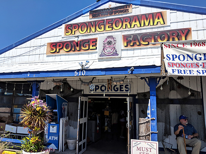 Dive into Tarpon Springs' spongy history. It's sea life elevated to art form &ndash; and you can take it home!
