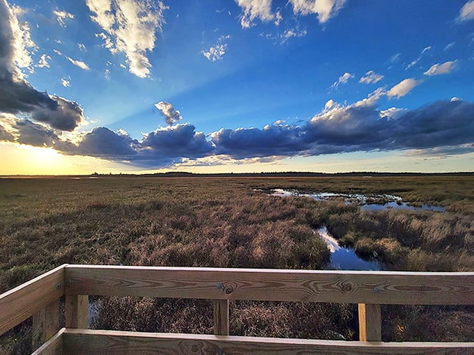 Sunkhaze's winding waters: Mother Nature's attempt at cursive. She's got better penmanship than most doctors, that's for sure!