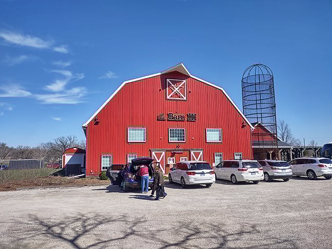 Red alert for fun! This isn't your average barn - it's a cornfield Colosseum of comedy, drama, and delicious eats.