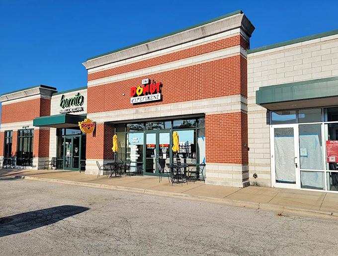 Part lab, part bakery, all delicious. The Donut Experiment: where you're the mad scientist, and donuts are your willing test subjects.