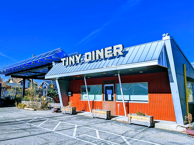 Where your meal might have been growing on the roof this morning! Tiny Diner serves up big flavors with a side of eco-consciousness.