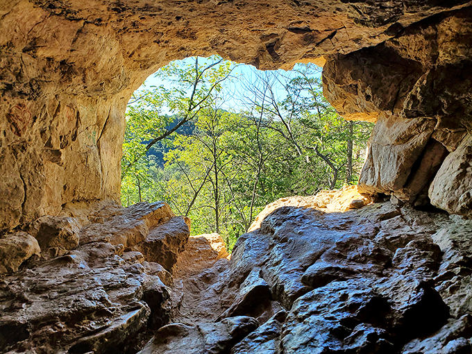 Trout stream paradise or nature's obstacle course? Whitewater's rushing waters offer thrills for anglers and hikers alike. Photo credit: Kelli Thiel