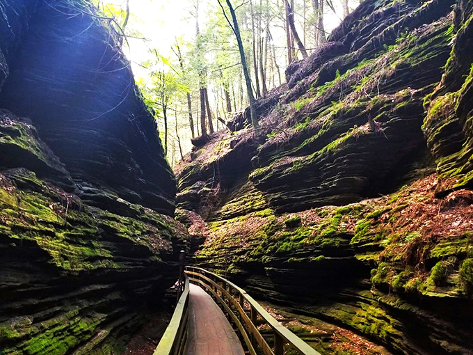 Nature's own fun house! Twisting boardwalks lead through a magical gorge that's more enchanting than spooky.