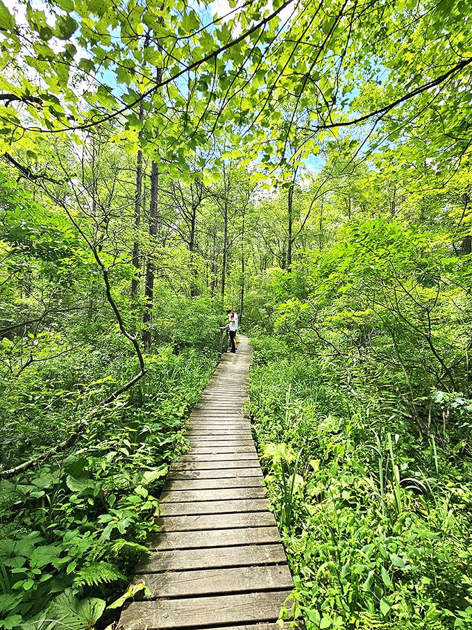 Nature's welcome mat! This inviting bridge at Yankee Springs practically begs you to explore what lies beyond.