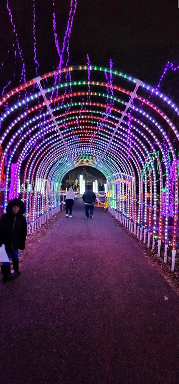 Beam me up, Santa! This cosmic tunnel of lights feels like a wormhole to the North Pole's most psychedelic workshop.