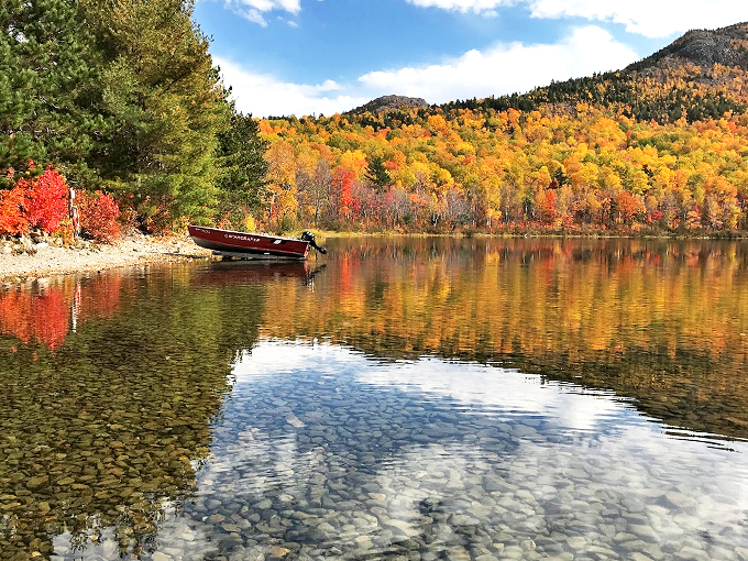 Autumn's color palette explosion: Mother Nature's way of showing off before winter's monochrome takeover. Instagram filters, you've met your match!