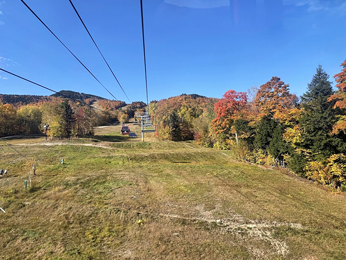 Autumn's aerial show. The chairlift offers front-row seats to nature's most colorful production, no binoculars required.