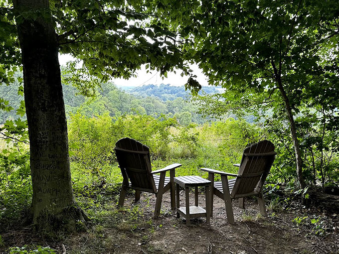 Nature's living room with a million-dollar view. These chairs are perfect for cloud-watching, leaf-peeping, or pretending you're a landscape painter.
