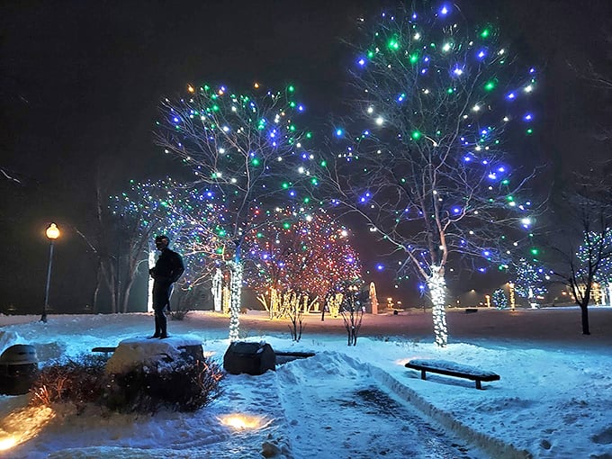Lakefront Park: Where nature and urban life shake hands. It's like Central Park's chill Midwestern cousin who loves a good picnic.