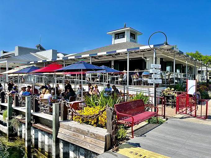Dining al fresco never looked so good! This waterfront eatery serves up views so delicious, you might forget to look at the menu.