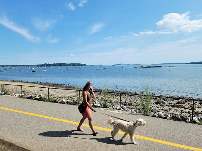 Who needs a cruise ship when you've got this view? Sail the rails along Casco Bay and wave to the lobster boats as you pass.