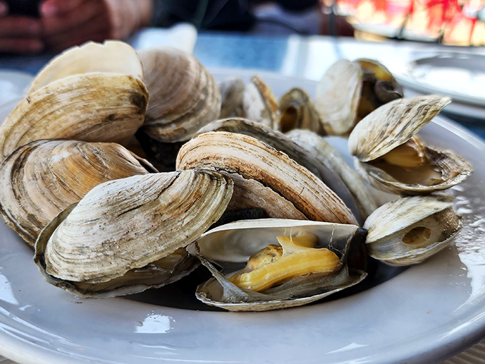 Steamers so fresh, you can almost hear the ocean. Just don't try putting them to your ear like a seashell!