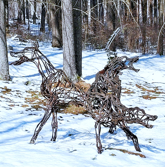 Wire you looking at me like that? These skeletal critters are bringing a whole new meaning to 'animal magnetism'.