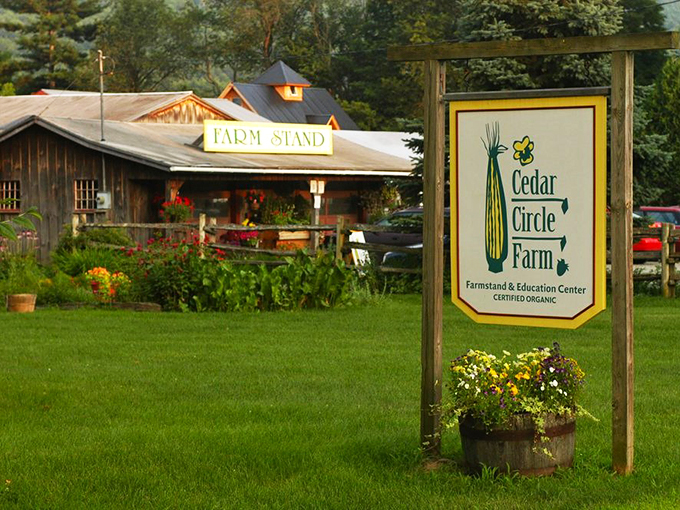The farm's welcoming sign stands sentinel, promising organic goodness and agricultural adventures ahead.