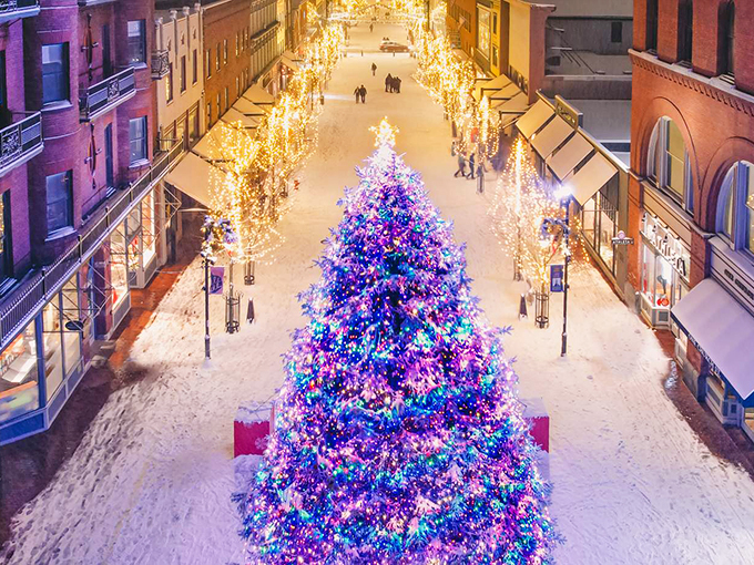 O Christmas tree, o Christmas tree, how lovely are thy... purple lights? Burlington's festive fir puts the 'awe' in awesome holiday spirit.