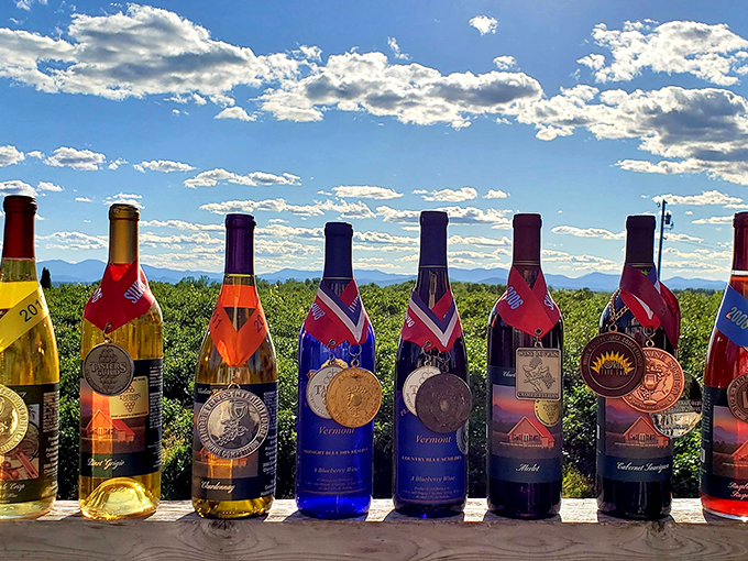Behold, the United Colors of Vino! From ruby reds to sunshine yellows, it's a rainbow you can actually taste.