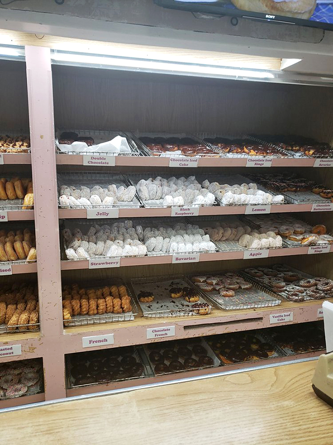 A rainbow of doughy delights! It's like Willy Wonka opened a donut shop, and we're all golden ticket winners