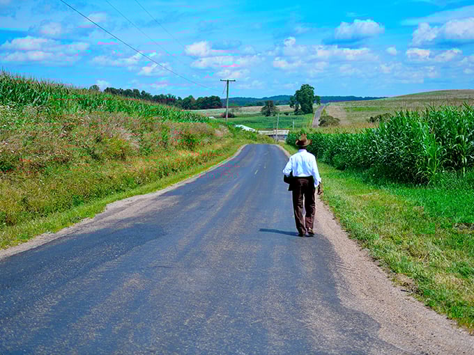 Walking in Red's footsteps? This road's got more hope than a letter to the parole board. Freedom never looked so scenic!