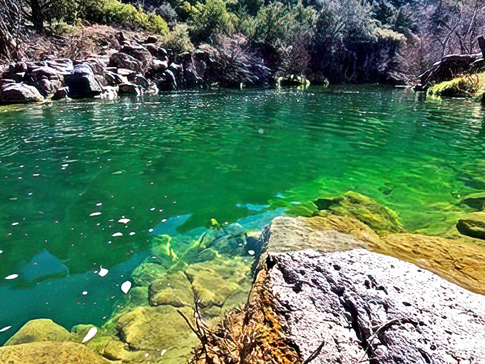 Crystal-clear waters sparkle like liquid emeralds, making this swimming hole Arizona's answer to the Caribbean.