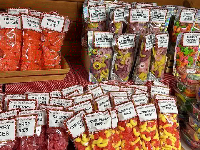 Gummy bears, and worms, and rings, oh my! This candy cornucopia is a rainbow of chewy delights. It's like Candyland came to life, minus the board game frustration.